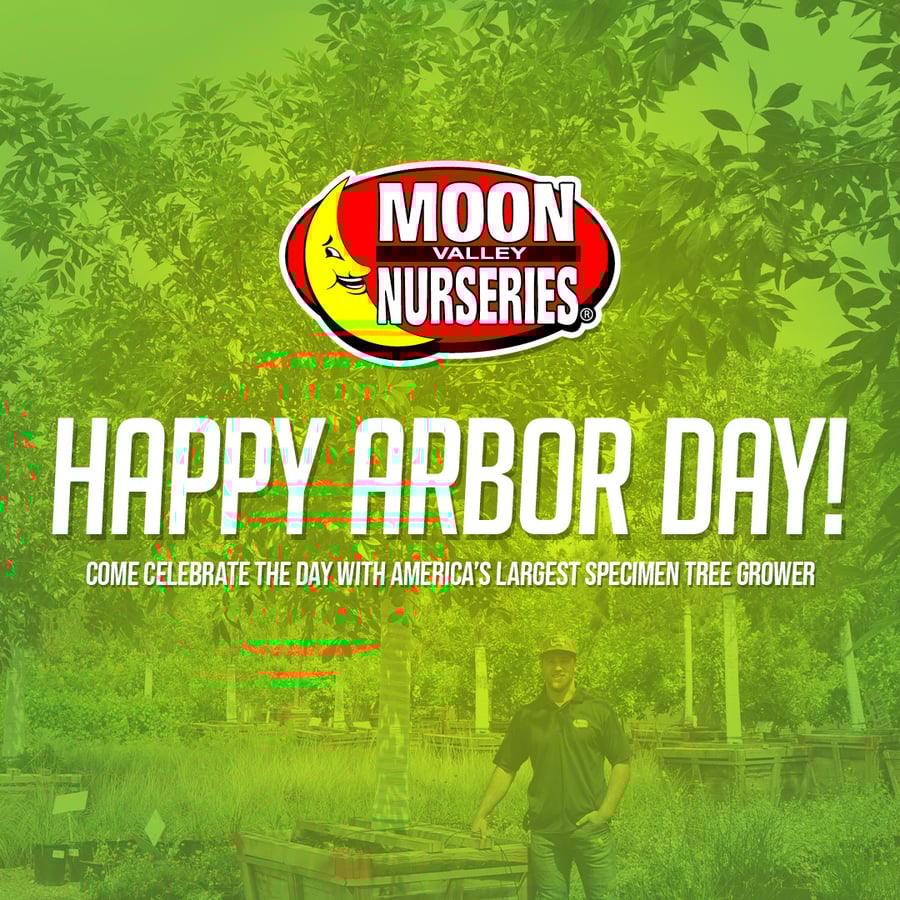 Celebrating Arbor Day 2019